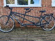 Tandem Club - ForSale